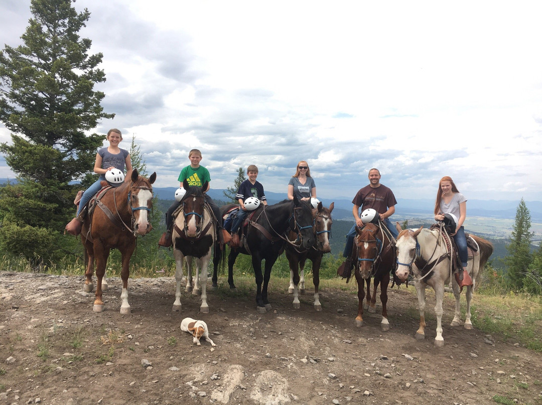 2024年11月Artemis Acres Paint Horse Ranch景点攻略-Artemis Acres Paint Horse ...