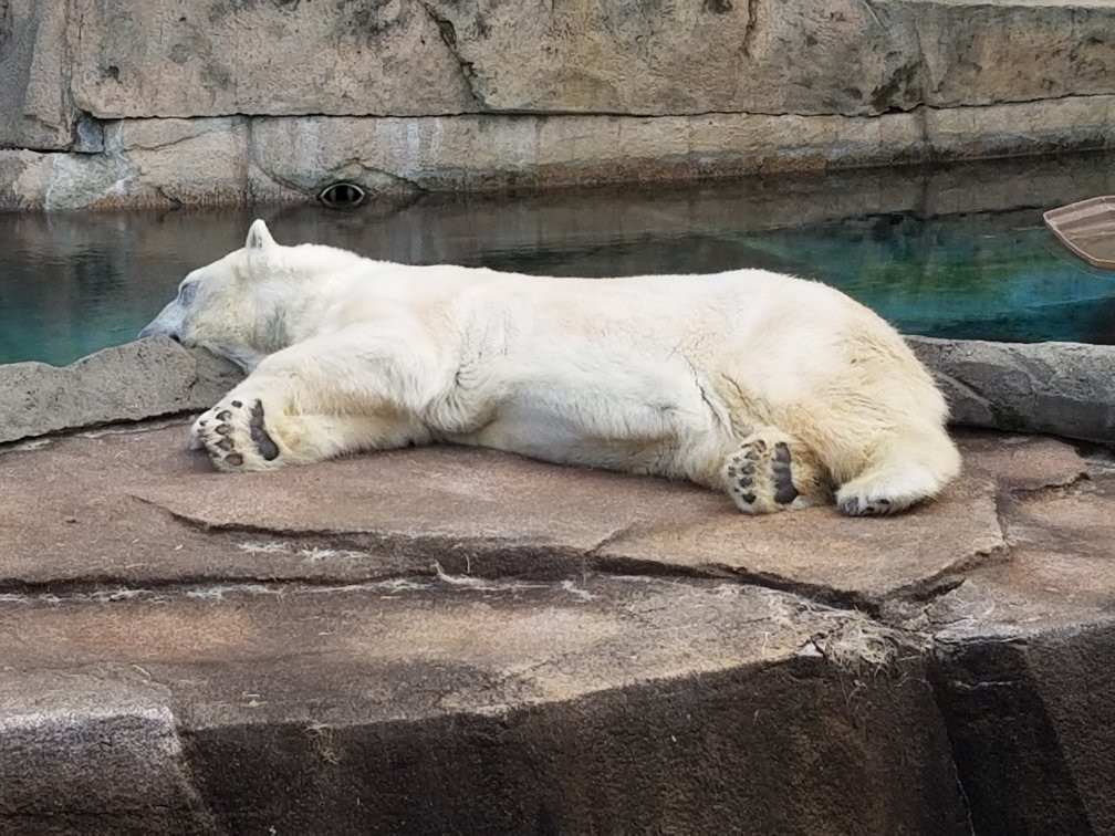 2024年2月Milwaukee County Zoo景点攻略-Milwaukee County Zoo门票预订|地址|图片 ...