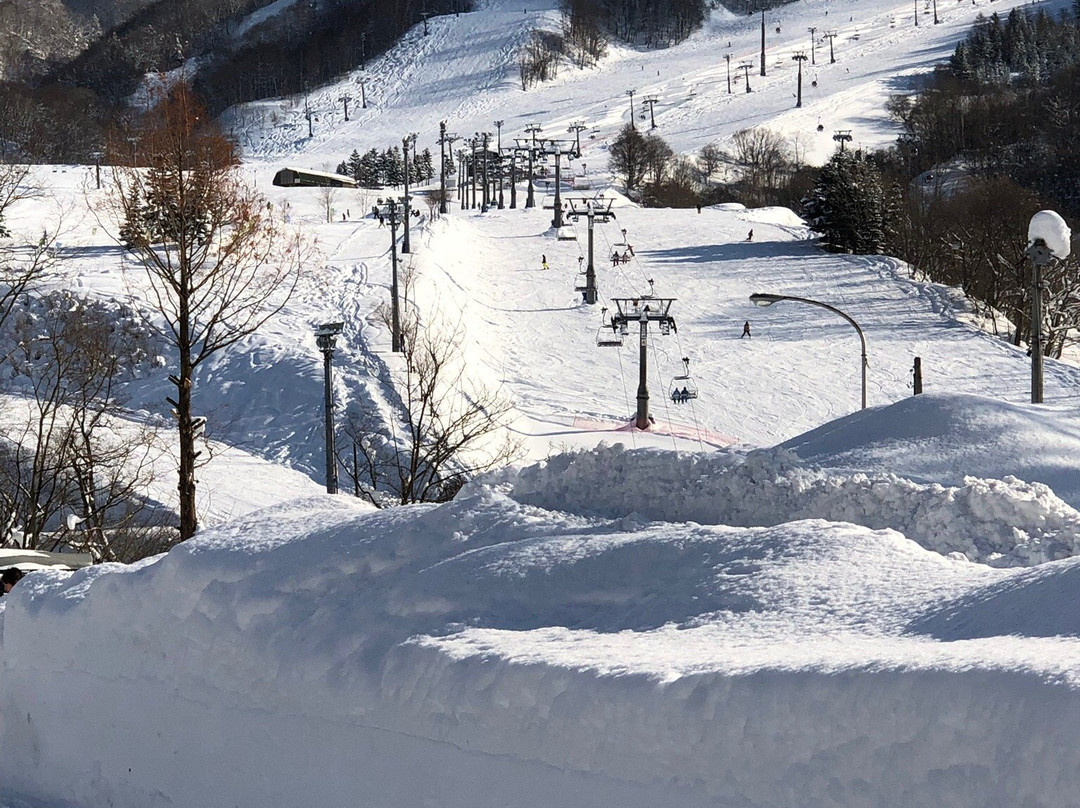 2024年1月Mount Racey Ski Resort景点攻略-Mount Racey Ski Resort门票预订|地址|图片 ...