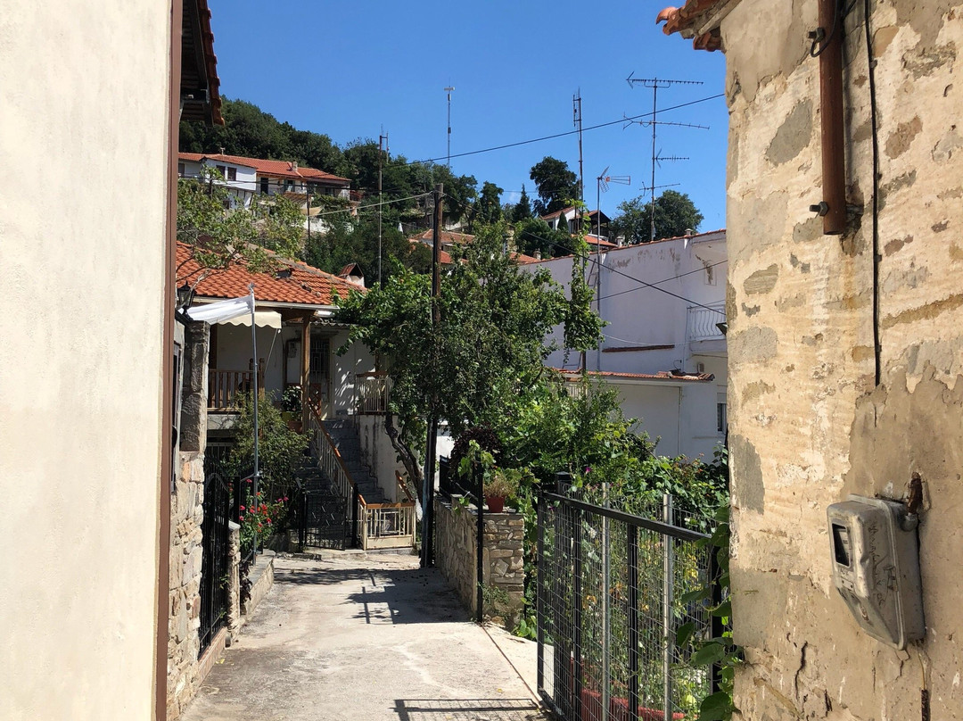 2025年1月Lake Marion景点攻略-Lake Marion门票预订|地址|图片-Lake Marion景点点评-猫途鹰