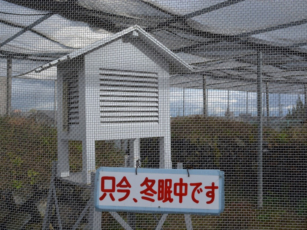 2024年4月Iwakuni Shirohebi Shrine景点攻略-Iwakuni Shirohebi Shrine门票预订|地址|图片 ...
