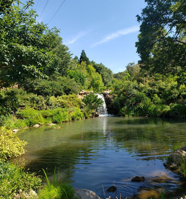 2024年11月Red Butte Garden景点攻略-Red Butte Garden门票预订|地址|图片-Red Butte ...