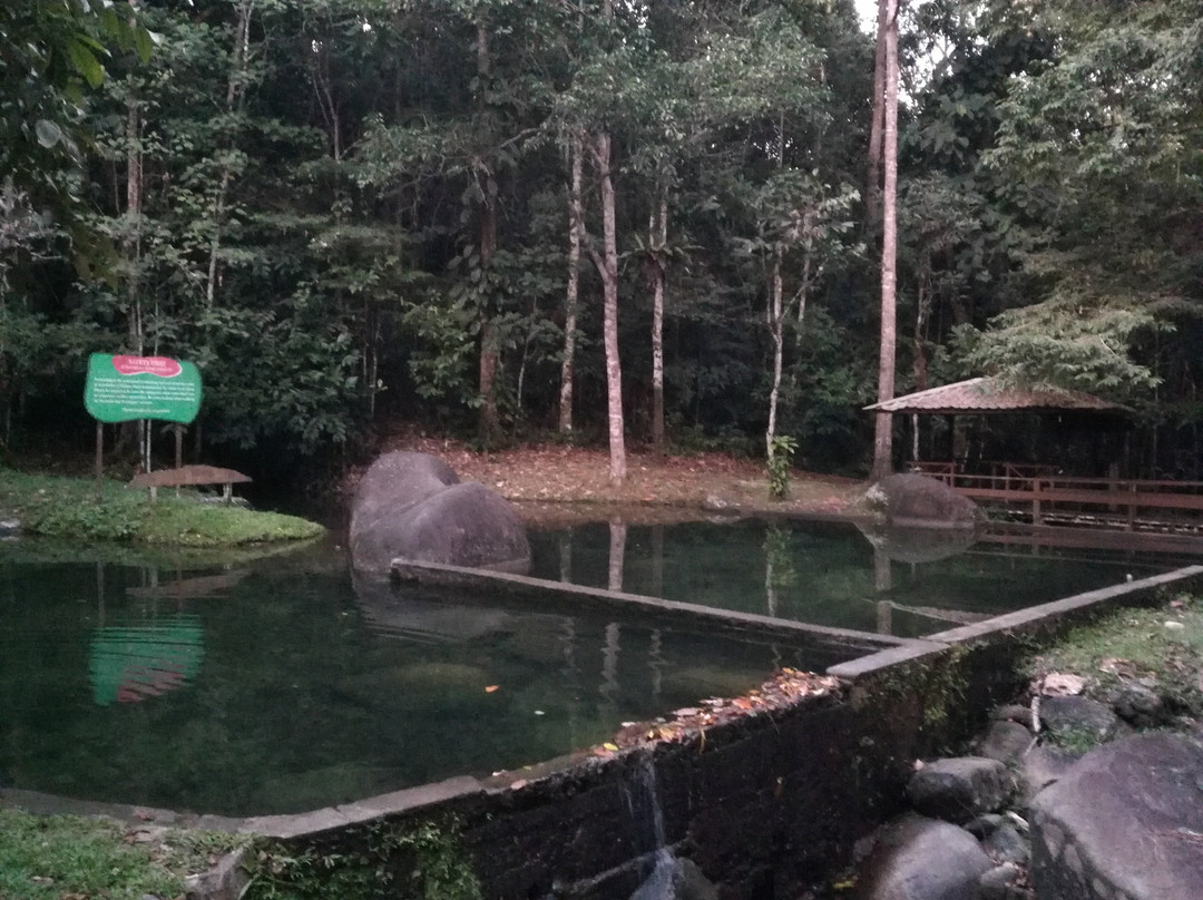 2024年9月Gunung Gading National Park景点攻略-Gunung Gading National Park门票预订 ...