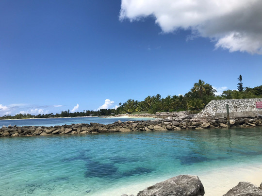 2023年11月Jaws Beach景点攻略-Jaws Beach门票预订|地址|图片-Jaws Beach景点点评-猫途鹰