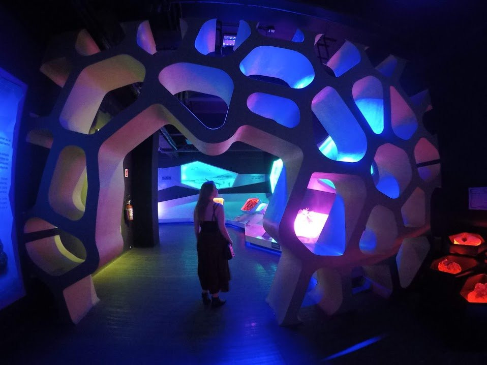 2023年12月Museo de la Evolucion Puebla (Museum of Evolution Puebla)景点攻略-Museo de la Evolucion ...