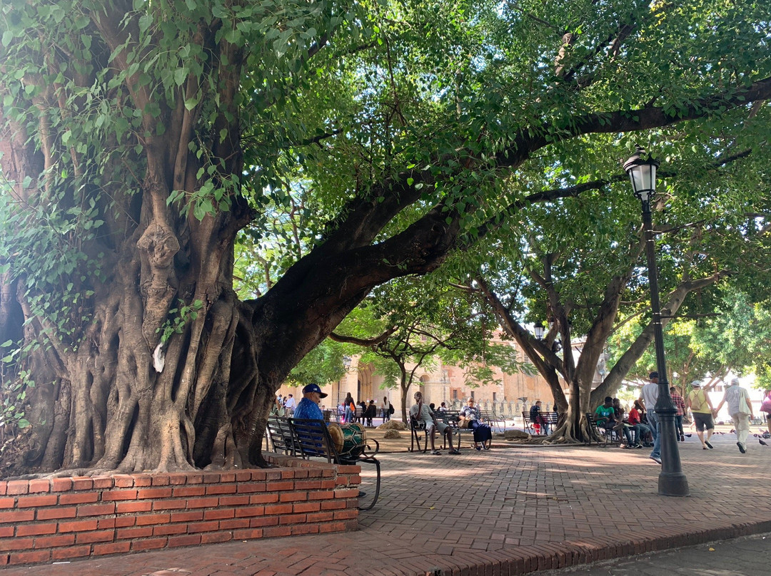 2024年3月Parque Colón景点攻略-Parque Colón门票预订|地址|图片-Parque Colón景点点评-猫途鹰