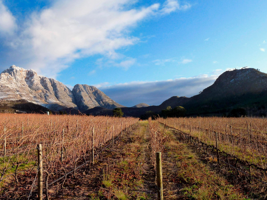 2023年11月Rusoord旅游景点攻略-Rusoord旅游住宿,-Rusoord旅游美食-猫途鹰