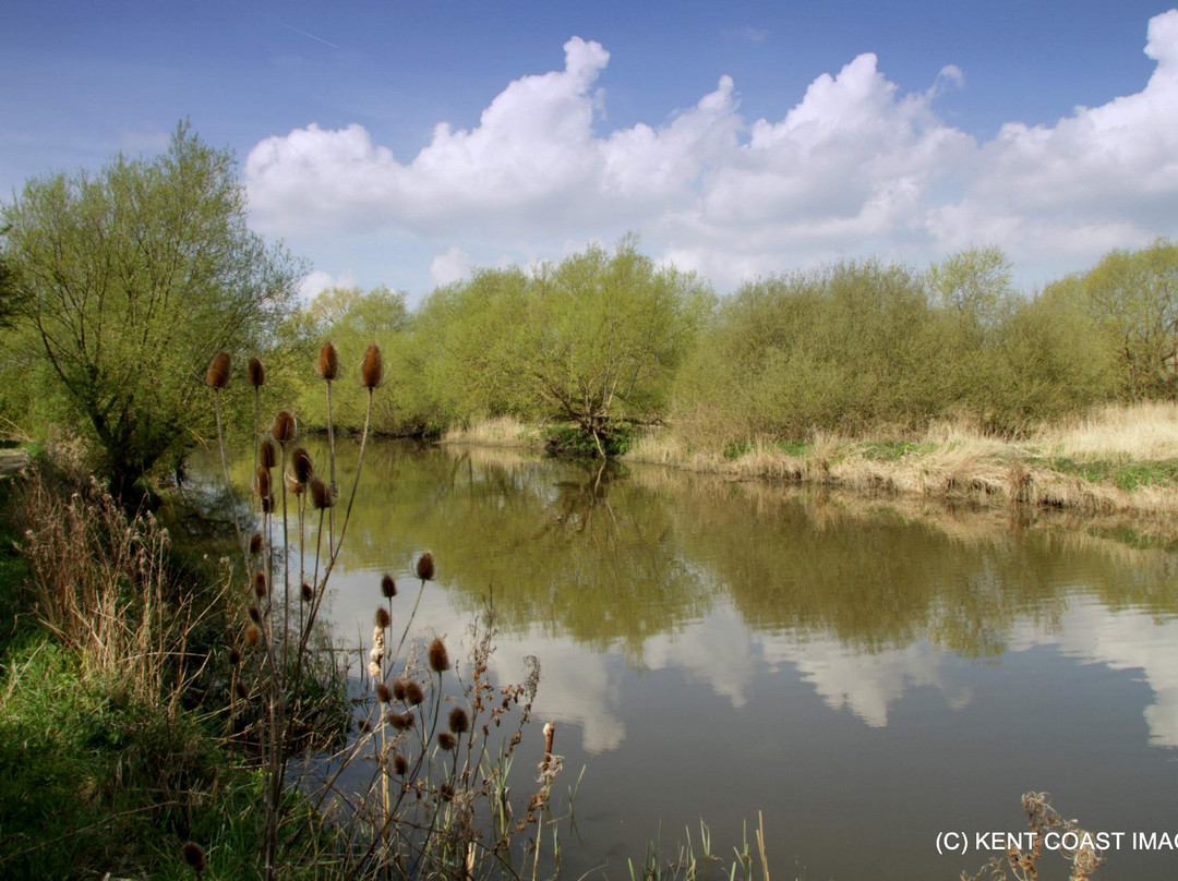 2025年1月Stodmarsh旅游景点攻略-Stodmarsh旅游住宿,-Stodmarsh旅游美食-猫途鹰