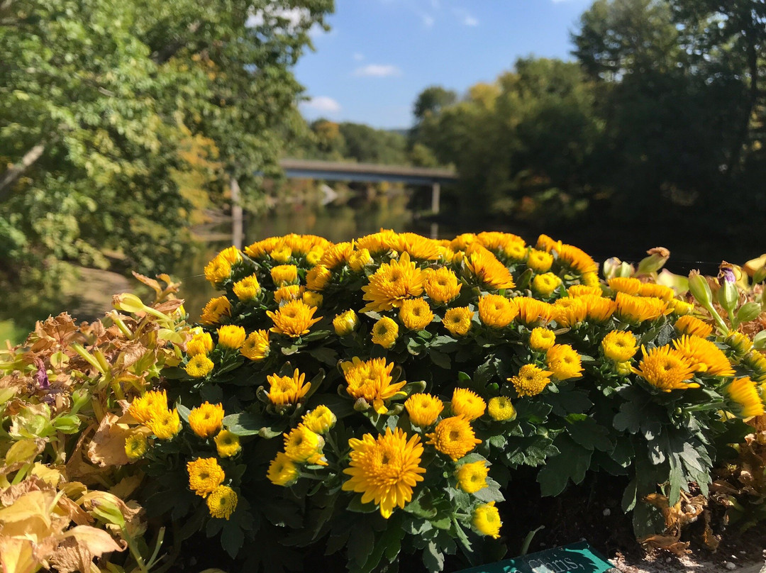 2023年11月Old Drake Hill Flower Bridge景点攻略-Old Drake Hill Flower Bridge门票 ...