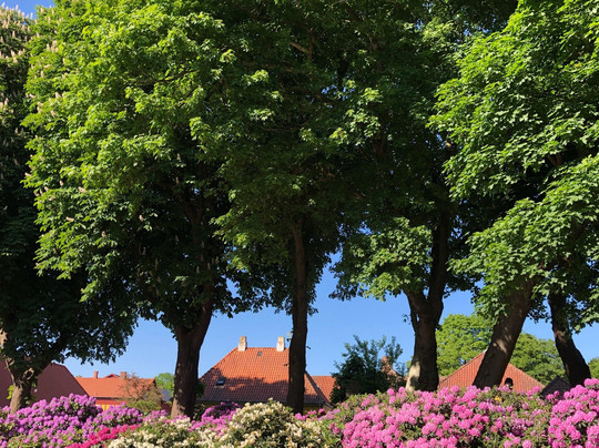 2023年11月Palsgaard Slot景点攻略-Palsgaard Slot门票预订|地址|图片-Palsgaard Slot景点点评-猫途鹰