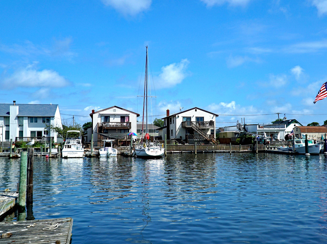 2025年1月自由港景点攻略-自由港旅游必去景点-自由港景点大全-猫途鹰
