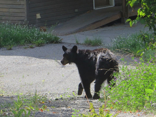 2025年3月Seton Portage Historic Provincial Park景点攻略-Seton Portage ...