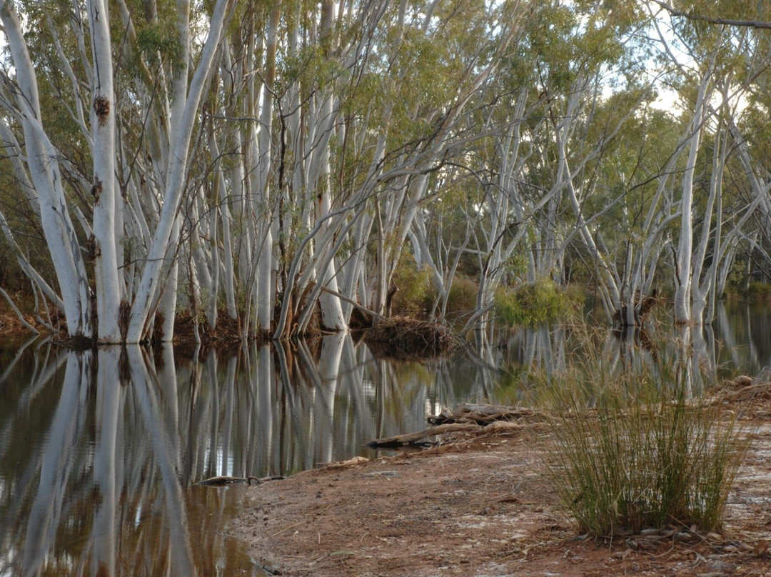 2024年12月Wiluna旅游景点攻略-Wiluna旅游住宿,-Wiluna旅游美食-猫途鹰