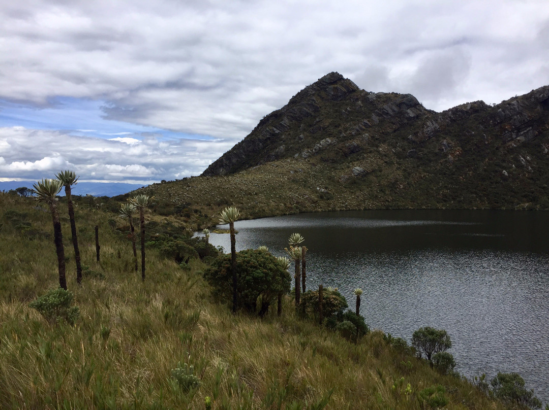 2023年11月Chingaza National Park景点攻略-Chingaza National Park门票预订|地址|图片 ...