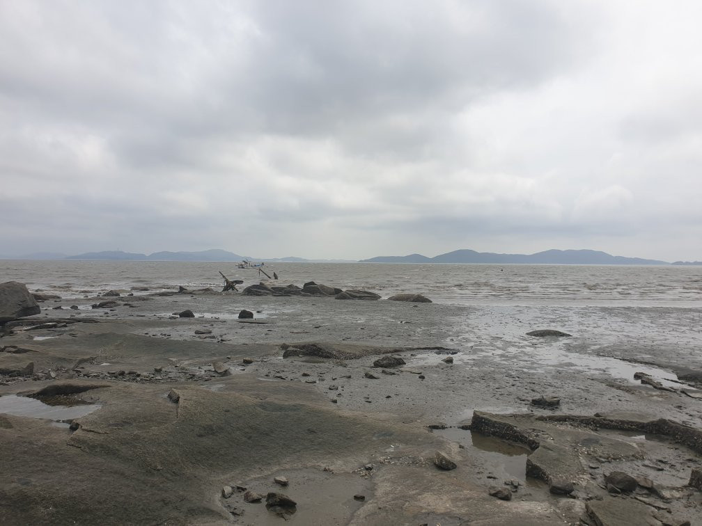 2024年8月Dongmak Beach景点攻略-Dongmak Beach门票预订|地址|图片-Dongmak Beach景点点评-猫途鹰