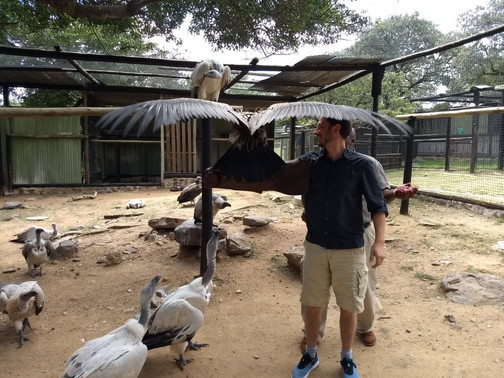 2025年3月Moholoholo Wildlife Rehabilitation Centre景点攻略-Moholoholo ...