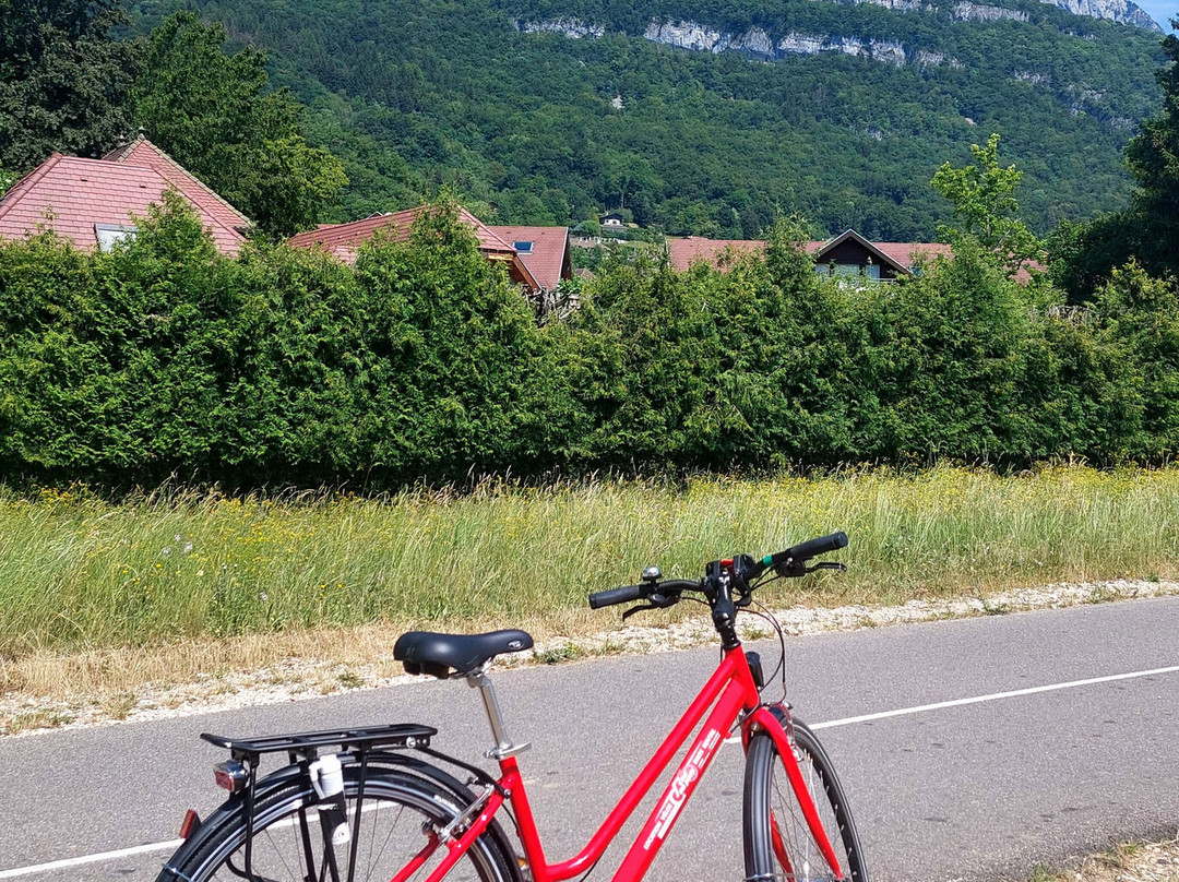 2025年10月ROUL' ma POULE Zixingche chuzu景点攻略-ROUL' ma POULE Zixingche ...