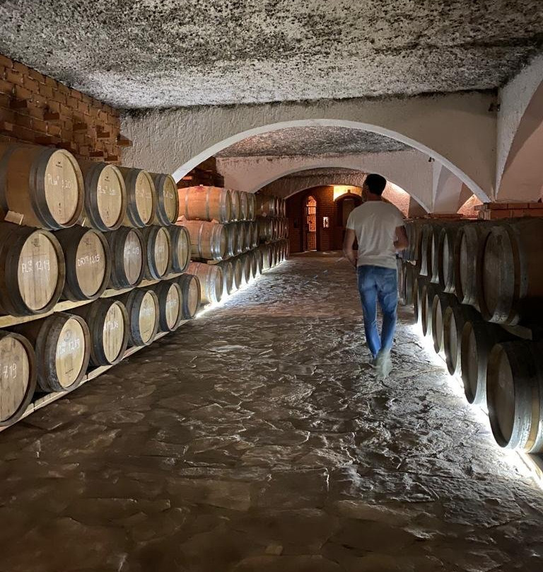 2025年8月Potomje旅游景点攻略-Potomje旅游住宿,-Potomje旅游美食-猫途鹰