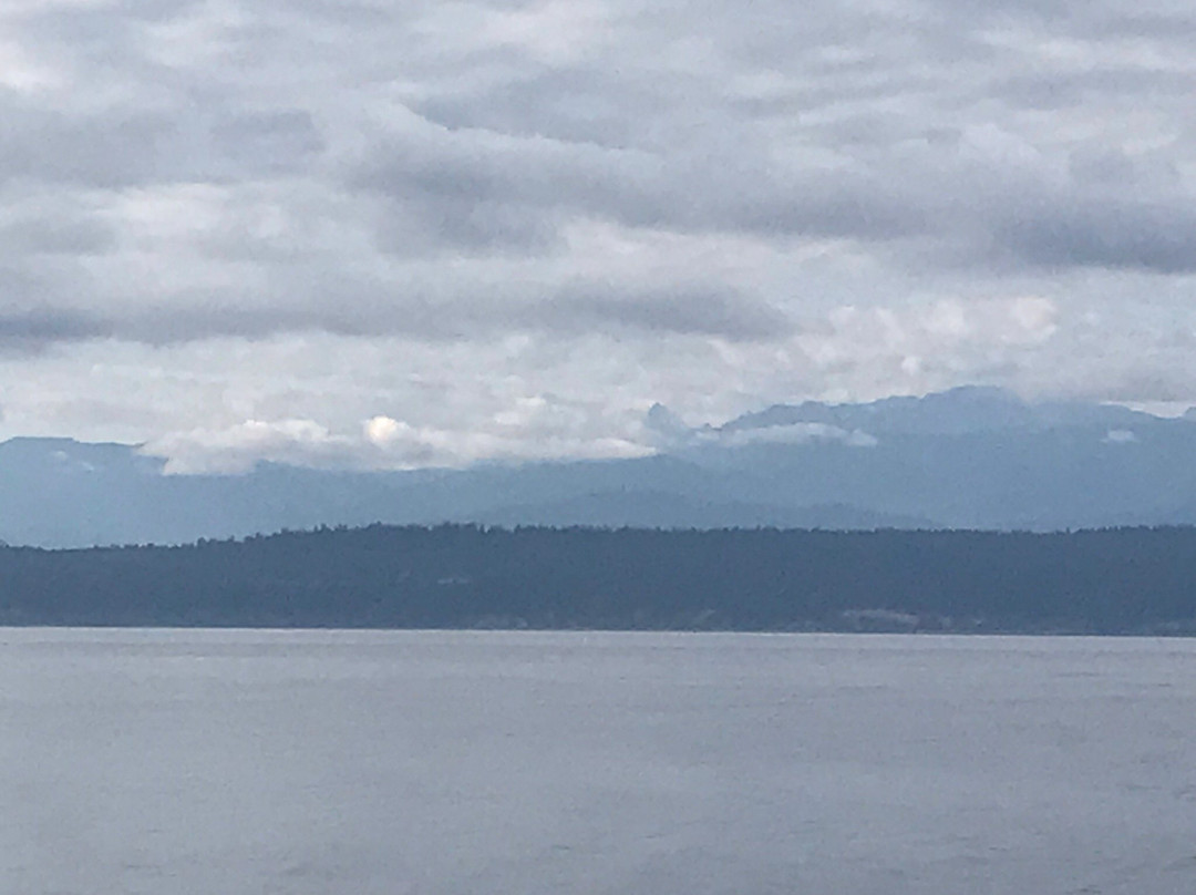 2023年12月Port Townsend Ferry Terminal景点攻略-Port Townsend Ferry Terminal门票 ...