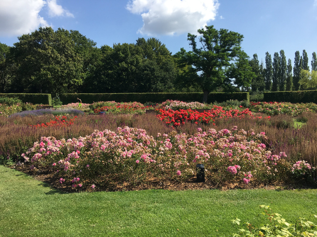 2023年12月Valbyparken景点攻略-Valbyparken门票预订|地址|图片-Valbyparken景点点评-猫途鹰