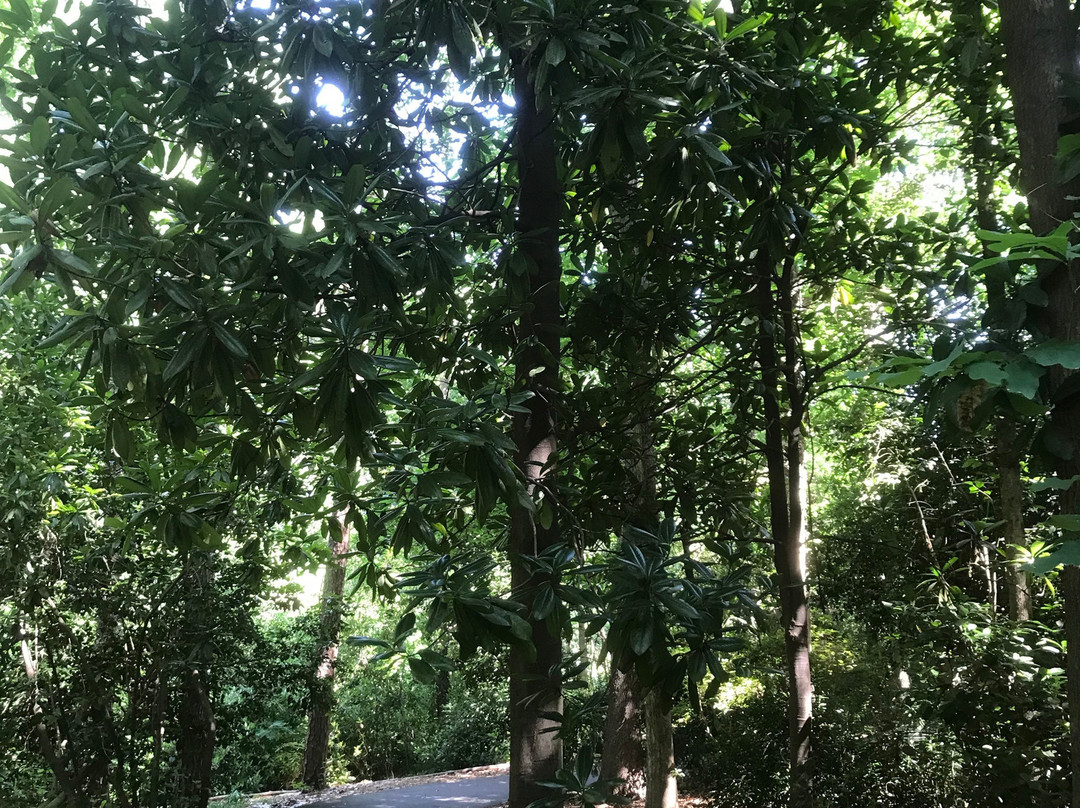 2024年11月Hatcher Garden and Woodland Preserve景点攻略-Hatcher Garden and ...