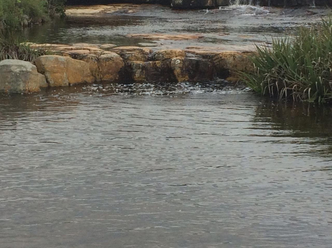 2024年9月Magwa Falls景点攻略-Magwa Falls门票预订|地址|图片-Magwa Falls景点点评-猫途鹰