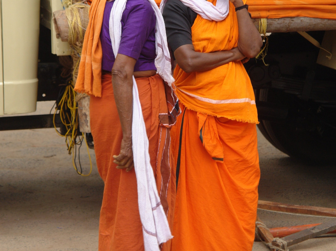 2025年3月Haripad旅游景点攻略-Haripad旅游住宿,-Haripad旅游美食-猫途鹰