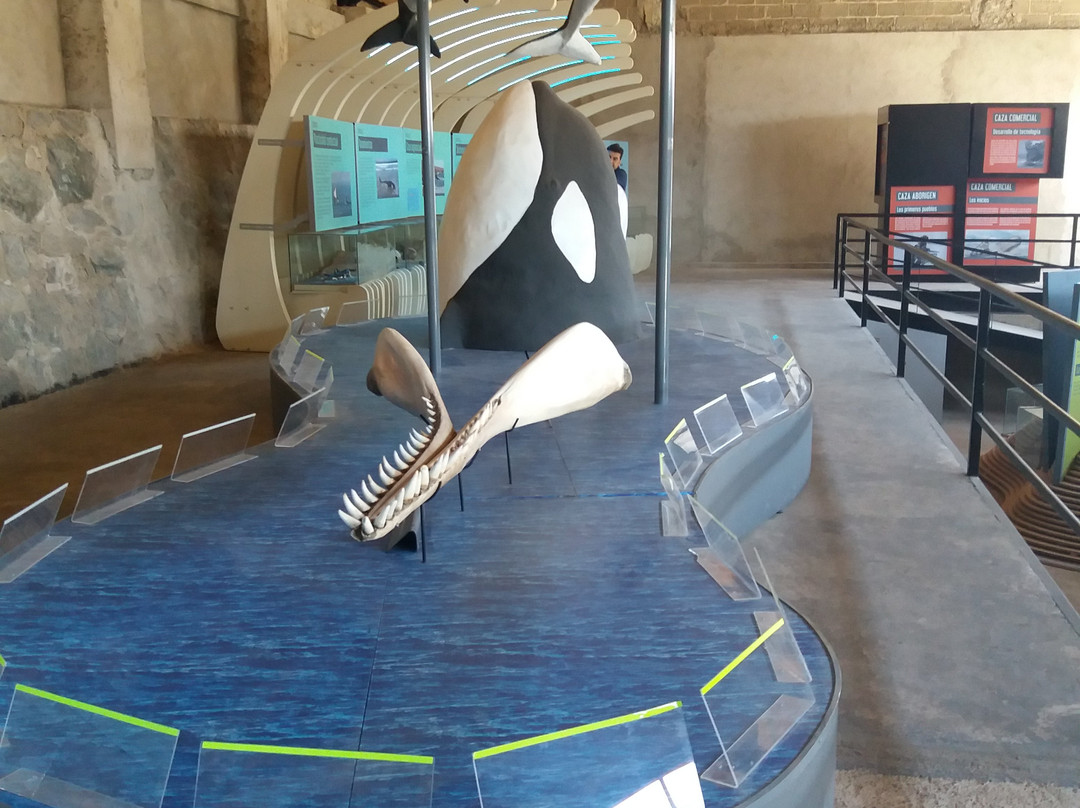 2024年10月Ballenera Quintay景点攻略-Ballenera Quintay门票预订|地址|图片-Ballenera ...