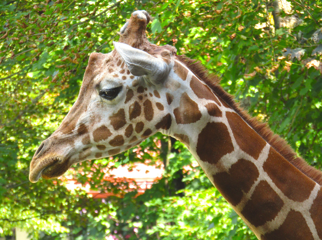 2023年12月Erie Zoo景点攻略-Erie Zoo门票预订|地址|图片-Erie Zoo景点点评-猫途鹰