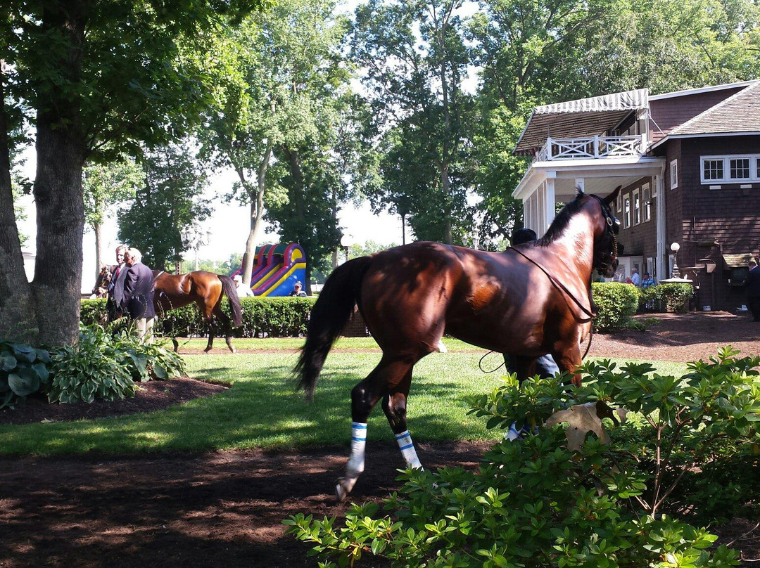 2025年3月Delaware Park景点攻略-Delaware Park门票预订|地址|图片-Delaware Park景点点评-猫途鹰