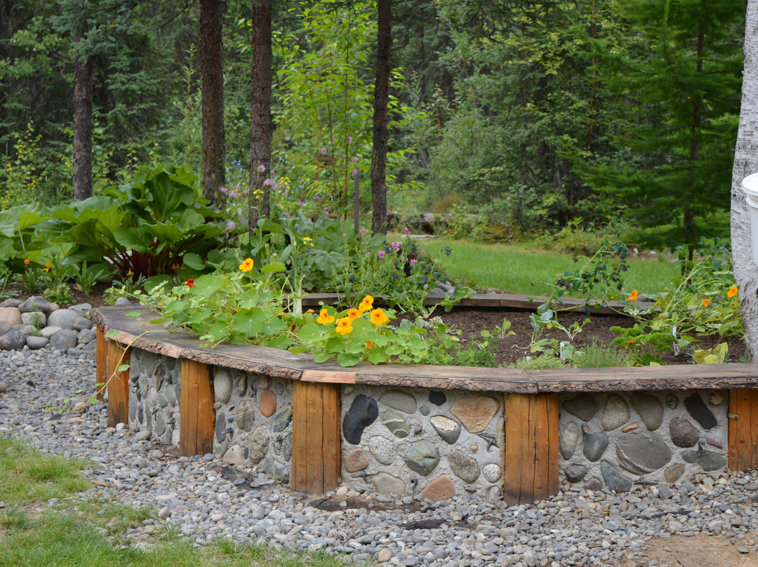 2024年2月Alaska Birch Syrup & Wild Harvest Products : Kahiltna Birchworks ...