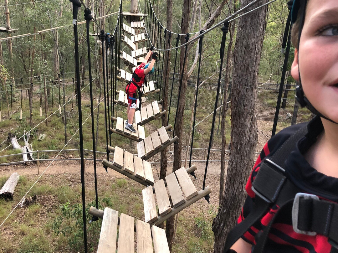 2024年1月TreeTop Challenge景点攻略-TreeTop Challenge门票预订|地址|图片-TreeTop ...