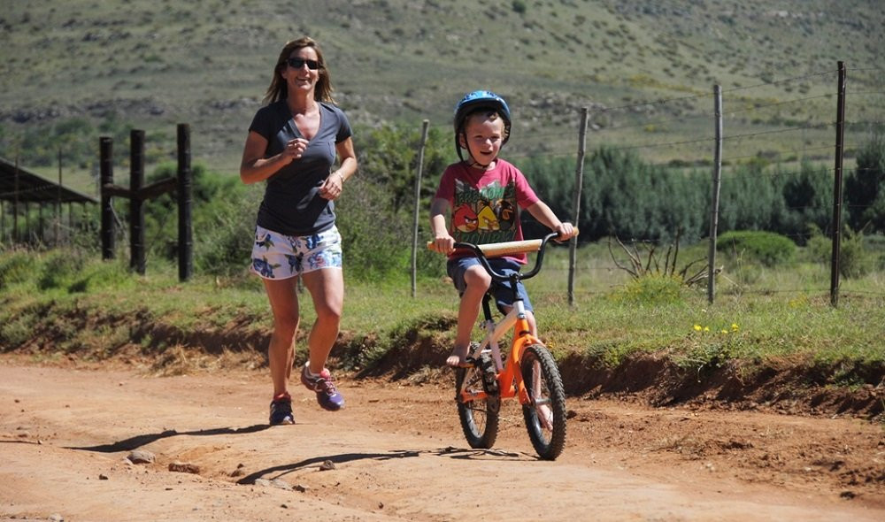 2024年1月Tarkastad旅游景点攻略-Tarkastad旅游住宿,-Tarkastad旅游美食-猫途鹰