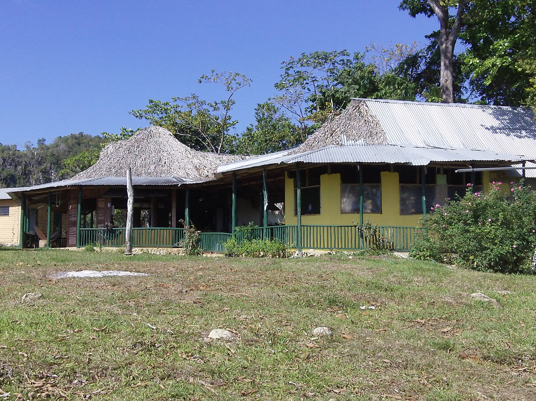 2023年12月Lacovia旅游景点攻略-Lacovia旅游住宿,-Lacovia旅游美食-猫途鹰