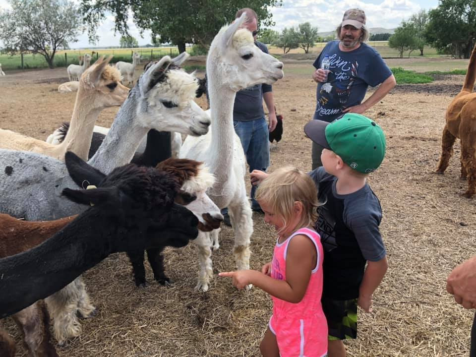 2024年9月Caputa旅游景点攻略-Caputa旅游住宿,-Caputa旅游美食-猫途鹰