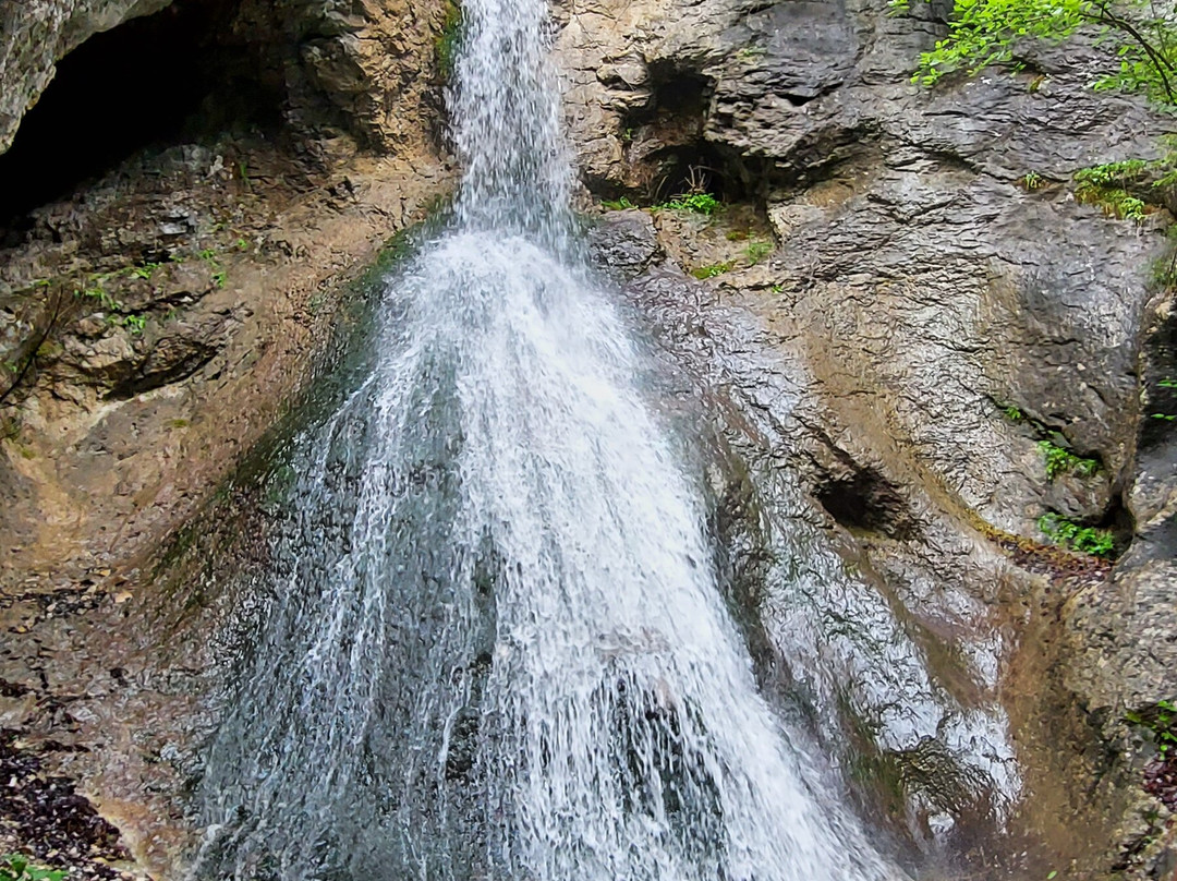 2024年12月Bad Häring景点攻略-Bad Häring旅游必去景点-Bad Häring景点大全-猫途鹰