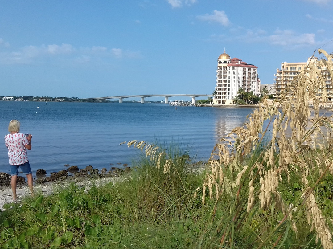 2025年1月Bayfront Park景点攻略-Bayfront Park门票预订|地址|图片-Bayfront Park景点点评-猫途鹰