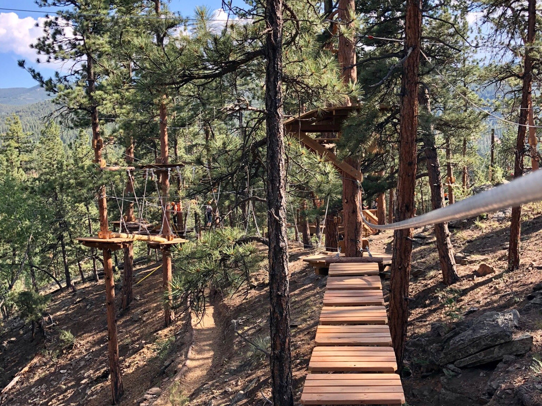 2025年8月Treehouse Adventure Park景点攻略-Treehouse Adventure Park门票预订|地址|图片 ...