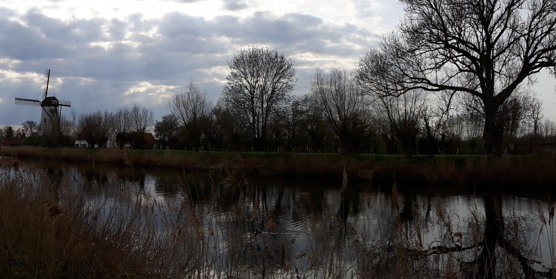 2024年12月Hoeke Windmill景点攻略-Hoeke Windmill门票预订|地址|图片-Hoeke Windmill景点点评-猫途鹰