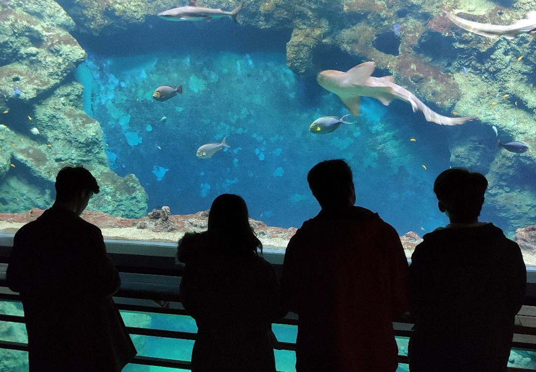2024年1月Aquarium de Lyon景点攻略-Aquarium de Lyon门票预订|地址|图片-Aquarium de Lyon ...