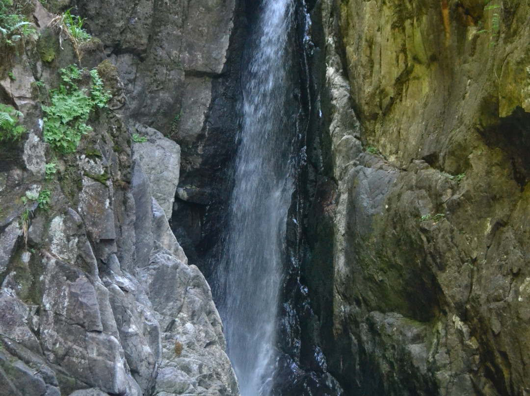 2023年11月Stanley Ghyll Force Waterfall景点攻略-Stanley Ghyll Force Waterfall ...