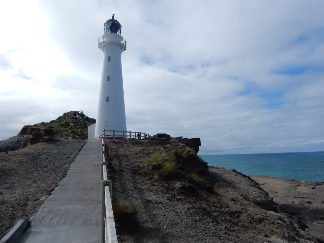 2024年12月Castlepoint Lighthouse景点攻略-Castlepoint Lighthouse门票预订|地址|图片 ...