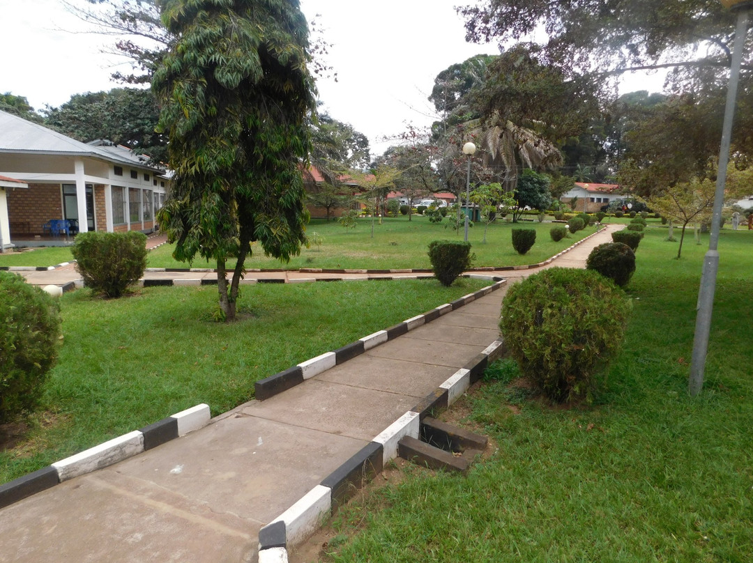 2025年1月Bukomba旅游景点攻略-Bukomba旅游住宿,-Bukomba旅游美食-猫途鹰