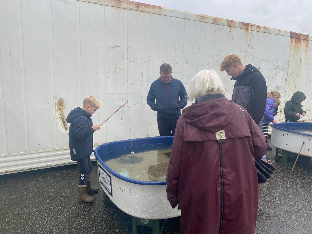 2024年11月Argir景点攻略-Argir旅游必去景点-Argir景点大全-猫途鹰