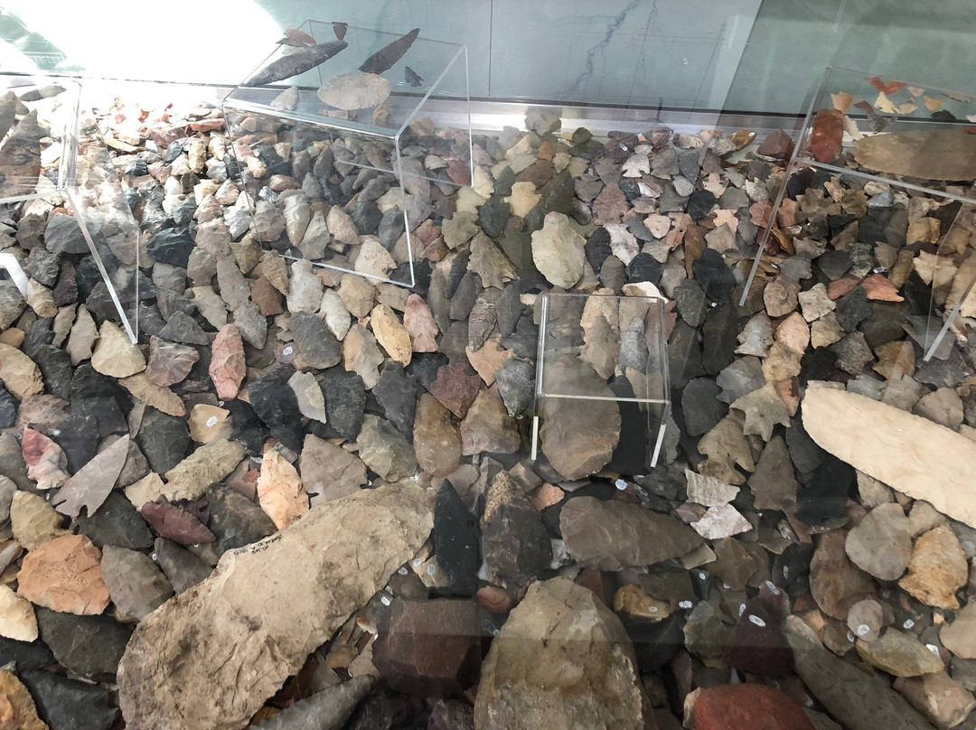 2023年12月Blackwater Draw Museum景点攻略-Blackwater Draw Museum门票预订|地址|图片 ...