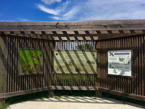 2023年12月Attwater Prairie Chicken National Wildlife Refuge景点攻略-Attwater ...
