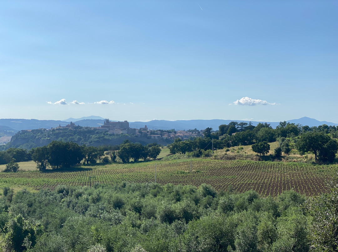 2023年12月Tenuta Le Velette景点攻略-Tenuta Le Velette门票预订|地址|图片-Tenuta Le ...