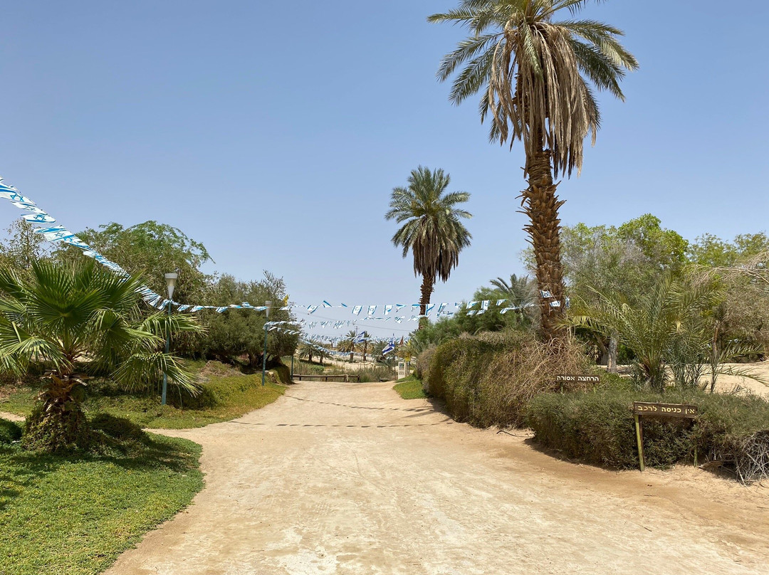 2025年8月Sapir景点攻略-Sapir旅游必去景点-Sapir景点大全-猫途鹰