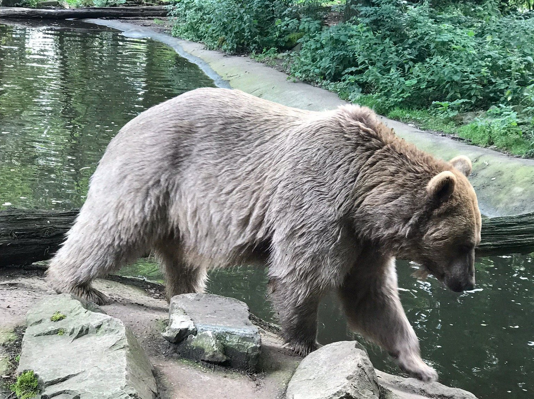 2025年1月Ouwehands Zoo Rhenen景点攻略-Ouwehands Zoo Rhenen门票预订|地址|图片 ...