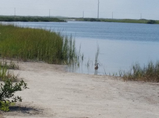 2023年11月Mustang Island State Park景点攻略-Mustang Island State Park门票预订|地址 ...